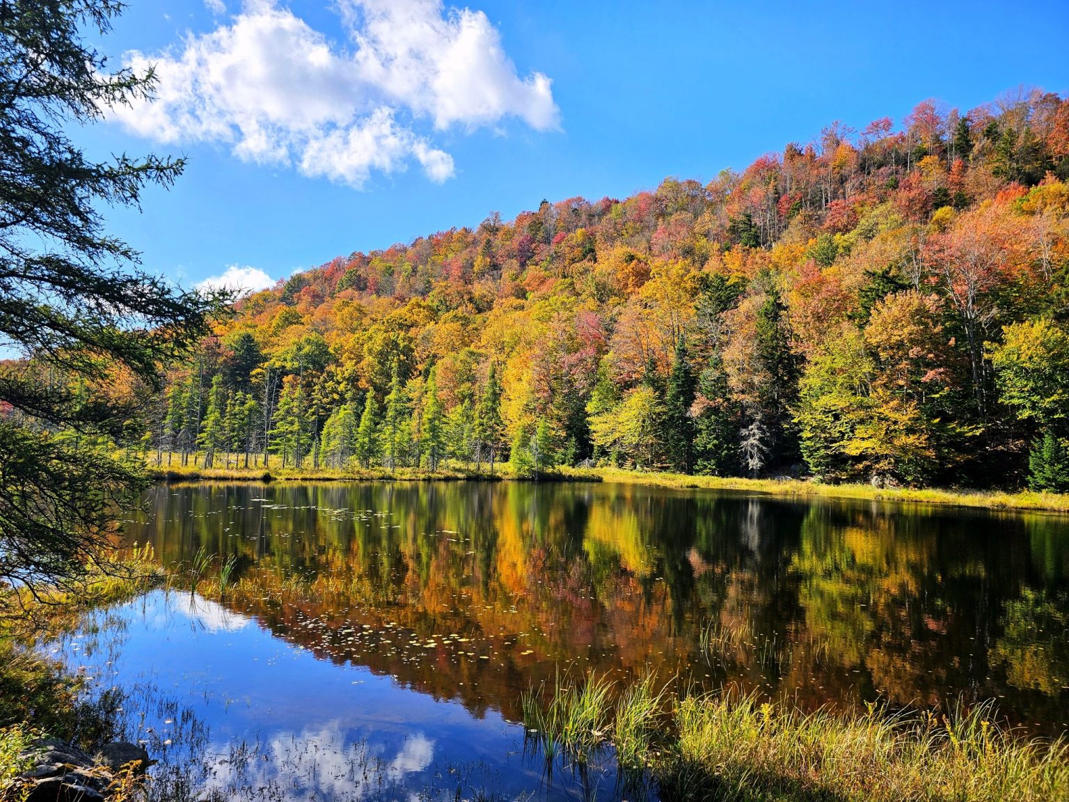 Fall Foliage - Experience Old Forge, NY
