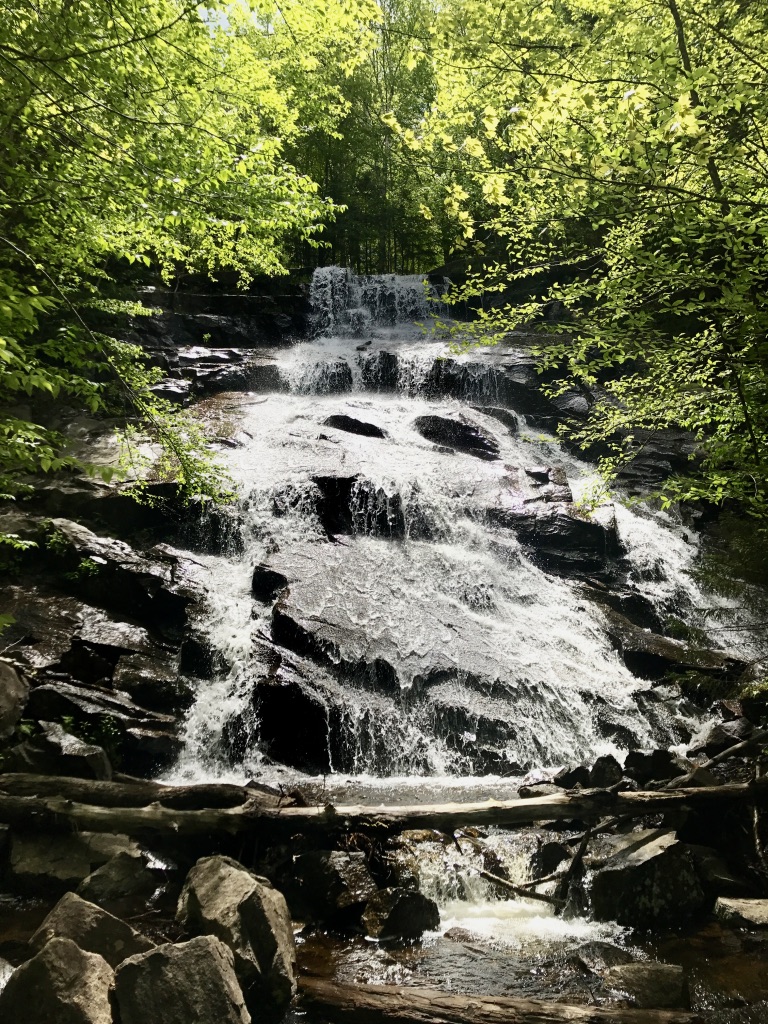 Favorite Hiking Trails - Experience Old Forge, NY