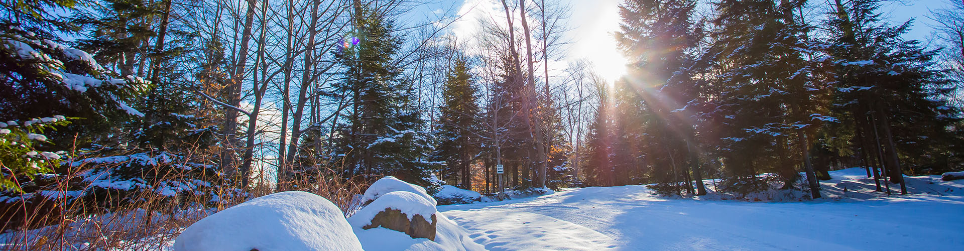 Experience Old Forge