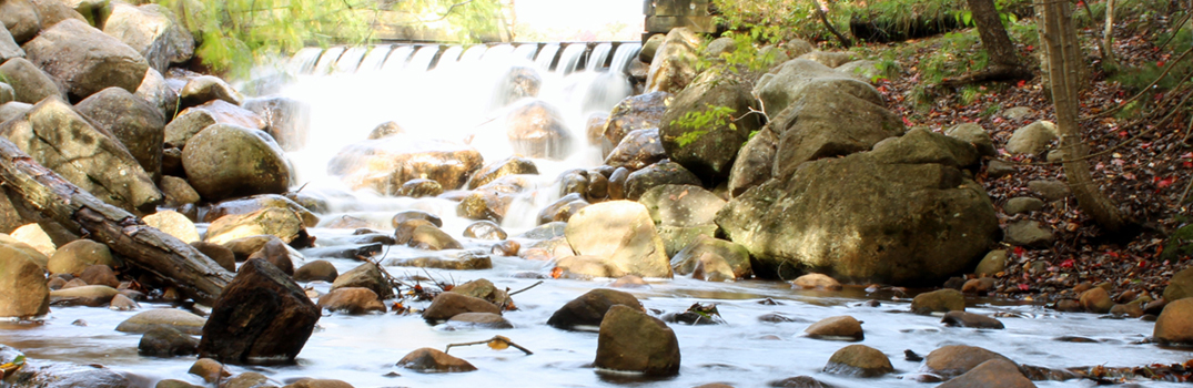 Experience Old Forge